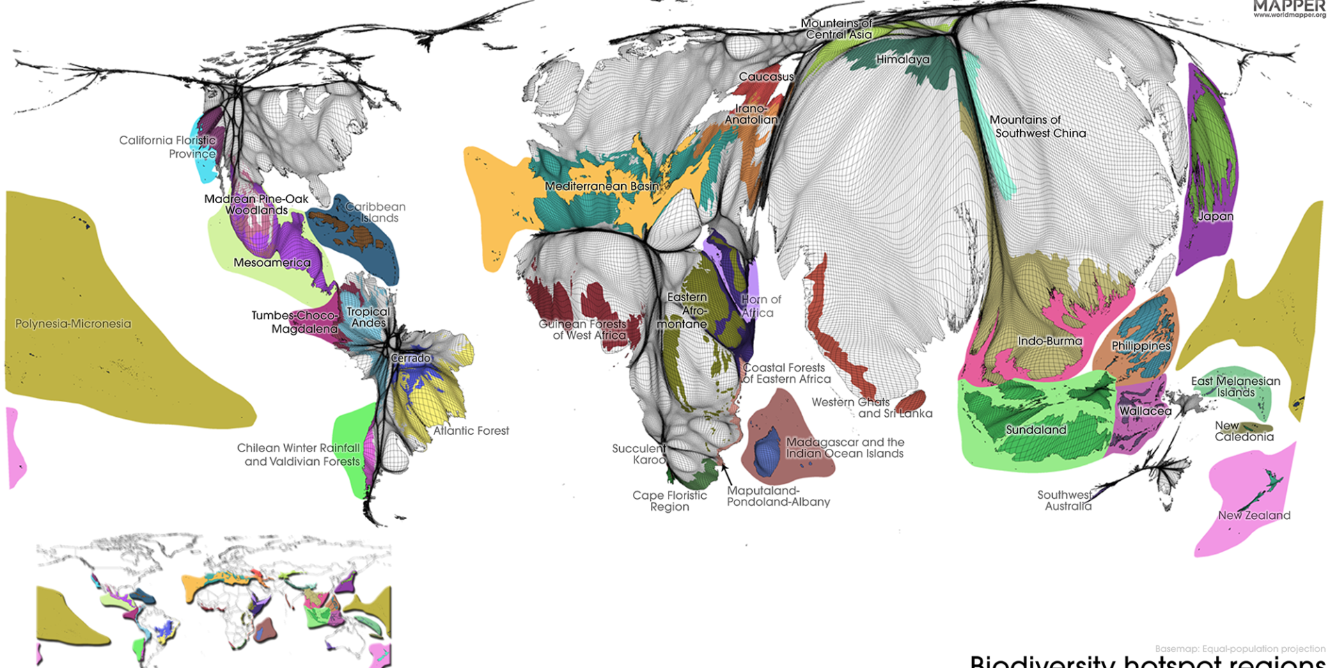 Strawberry Production - Worldmapper
